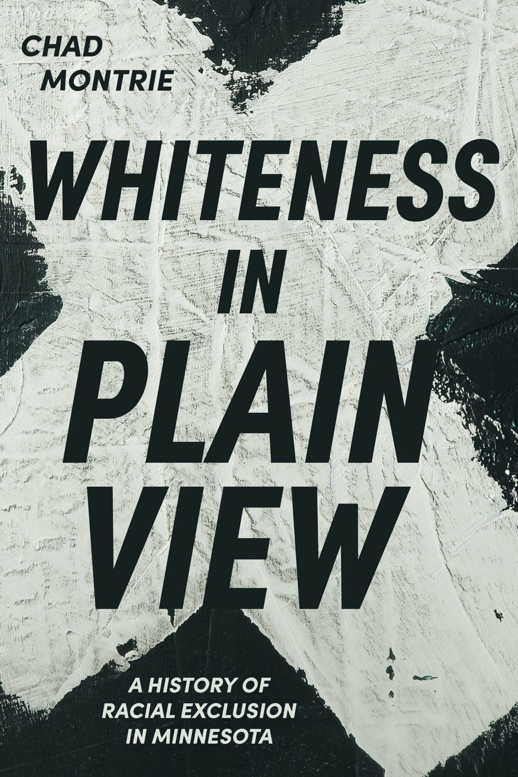 Whiteness in Plain View: A History of Racial Exclusion in Minnesota ...