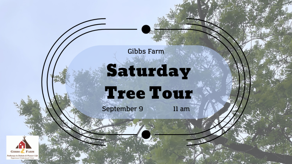 Saturday Tree Tour - Ramsey County Historical Society